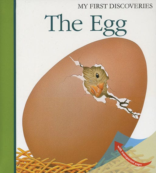 Children's book all about eggs - Moonlight Publishing