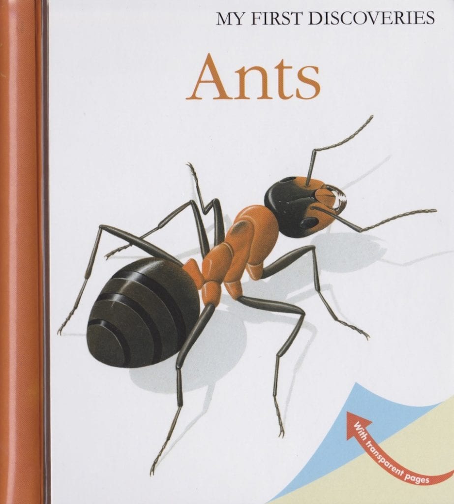 Talking Books for children - Moonlight Publishing