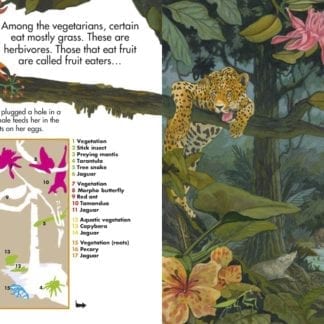 Children's book about What Animals Eat - Moonlight Publishing