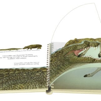 Children's book about Crocodiles - Moonlight Publishing