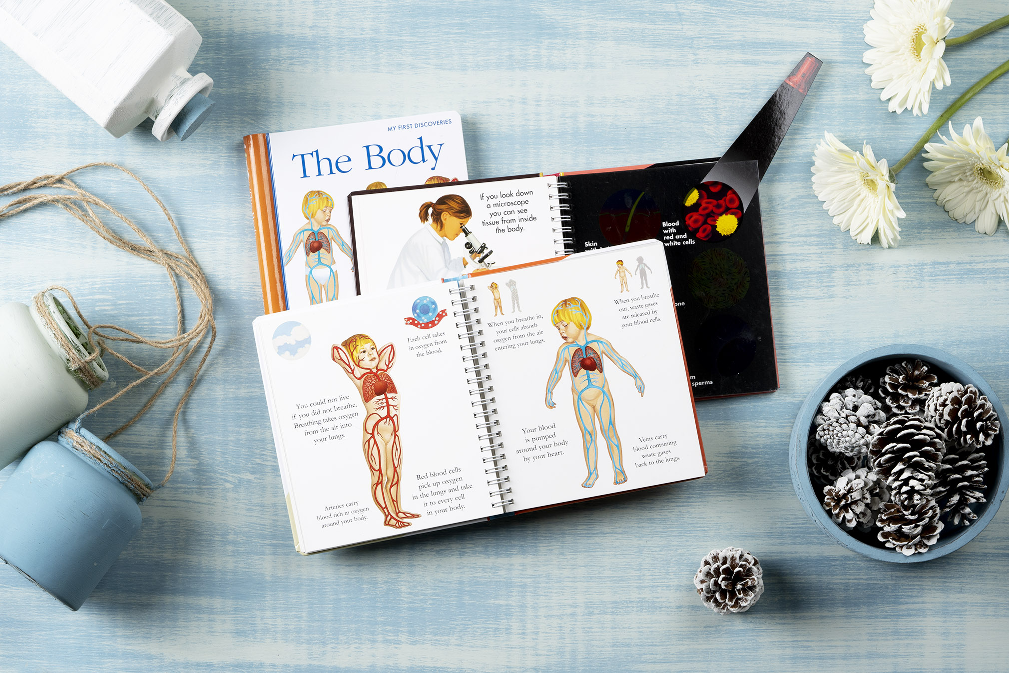 Anatomy for Kids | How to Teach It - Moonlight Publishing