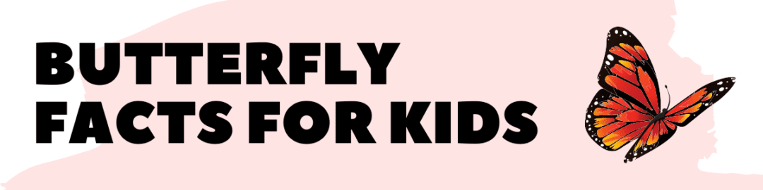 Butterfly Facts for Kids | Free Printable PDF - Moonlight Publishing