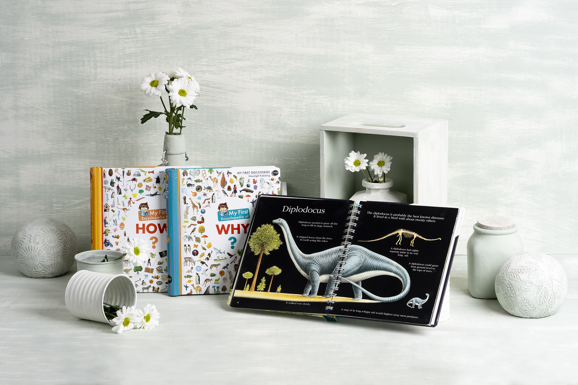 Non Fiction Books for Children | 10 Benefits - Moonlight Publishing