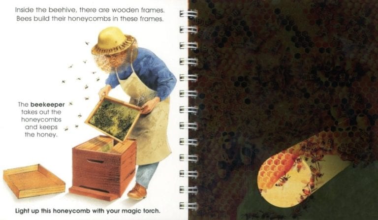 10 Fascinating Bee Facts for Kids | Free PDF - Moonlight Publishing