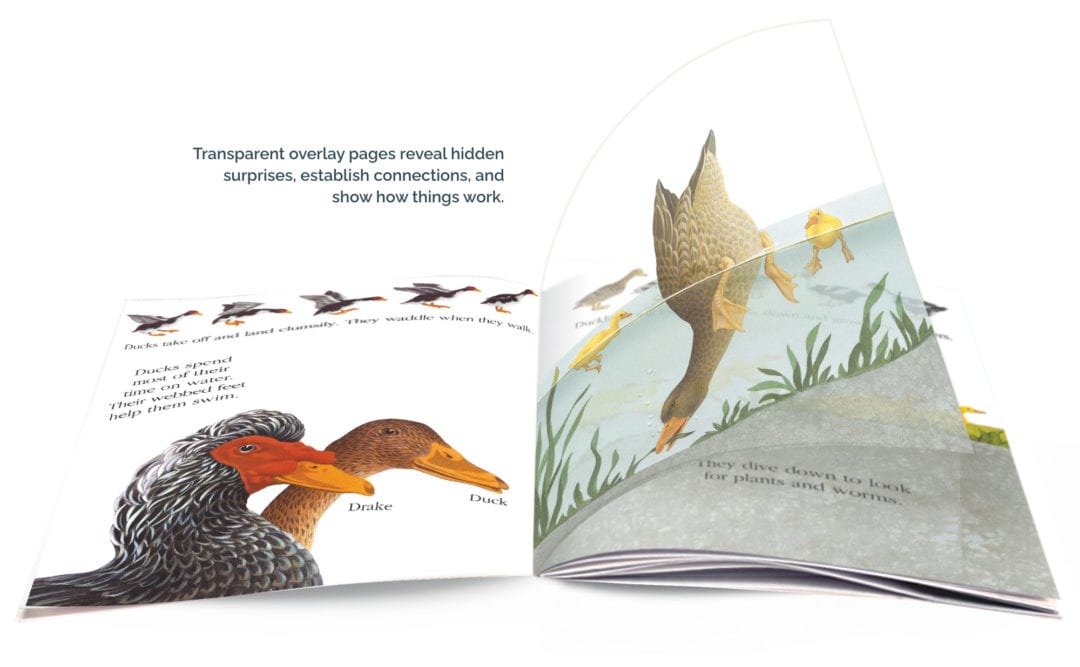 My First Discovery Paperbacks | Moonlight Publishing