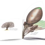 Trees - Moonlight Publishing