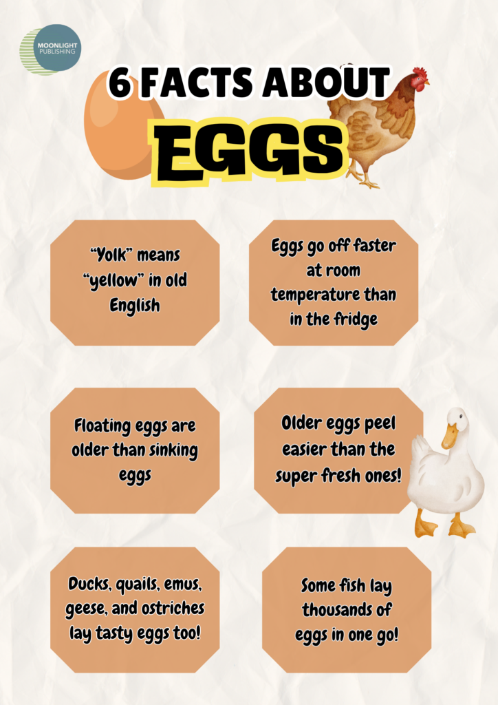 6 Exciting Egg Facts for Kids | Free PDF - Moonlight Publishing