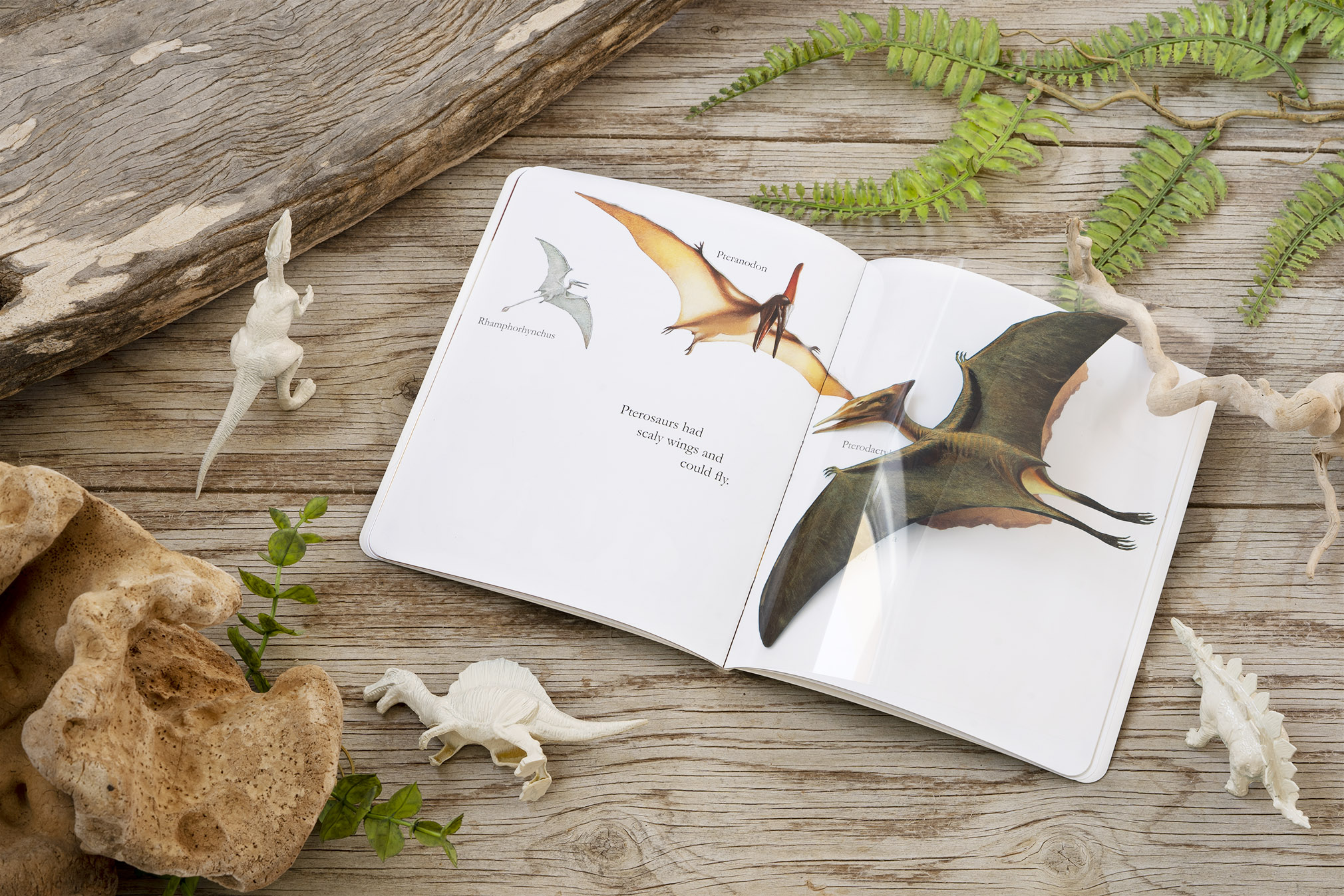 Choosing Non-fiction Books for Your Kids - Moonlight Publishing