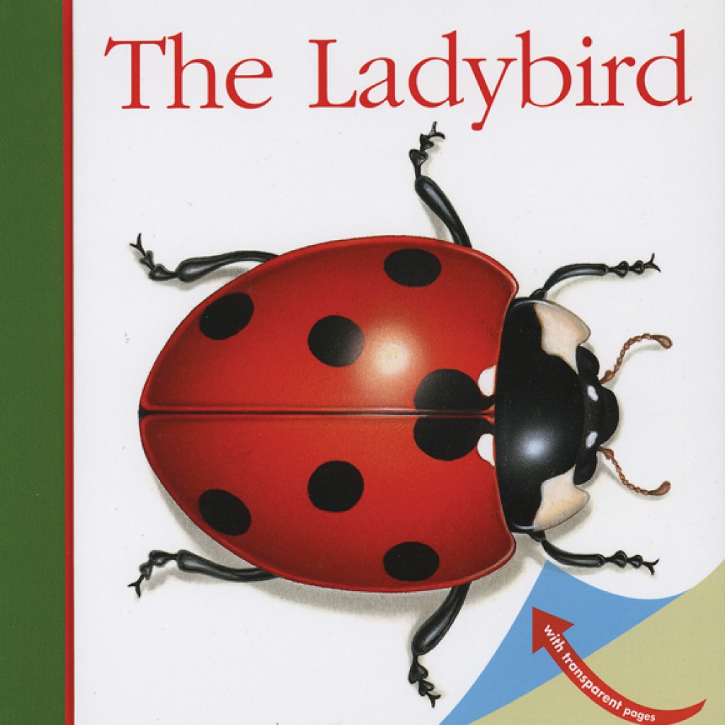 Ladybird Moonlight Publishing Ladybird Moonlight Publishing