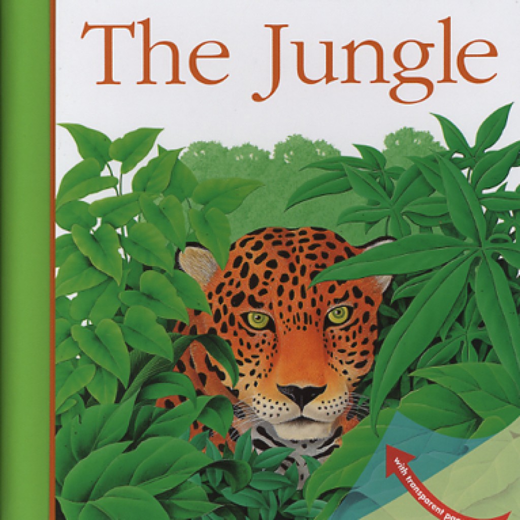 Jungle | Moonlight Publishing