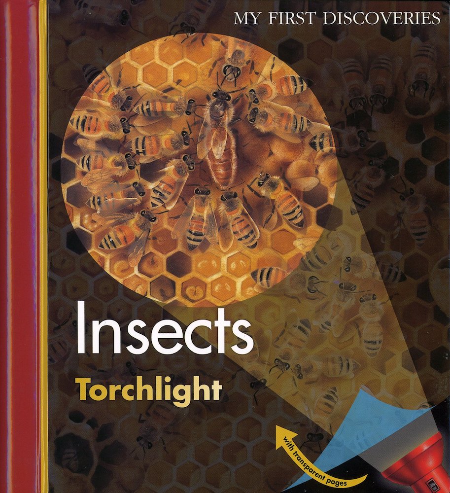Children's book about Insects - Moonlight Publishing