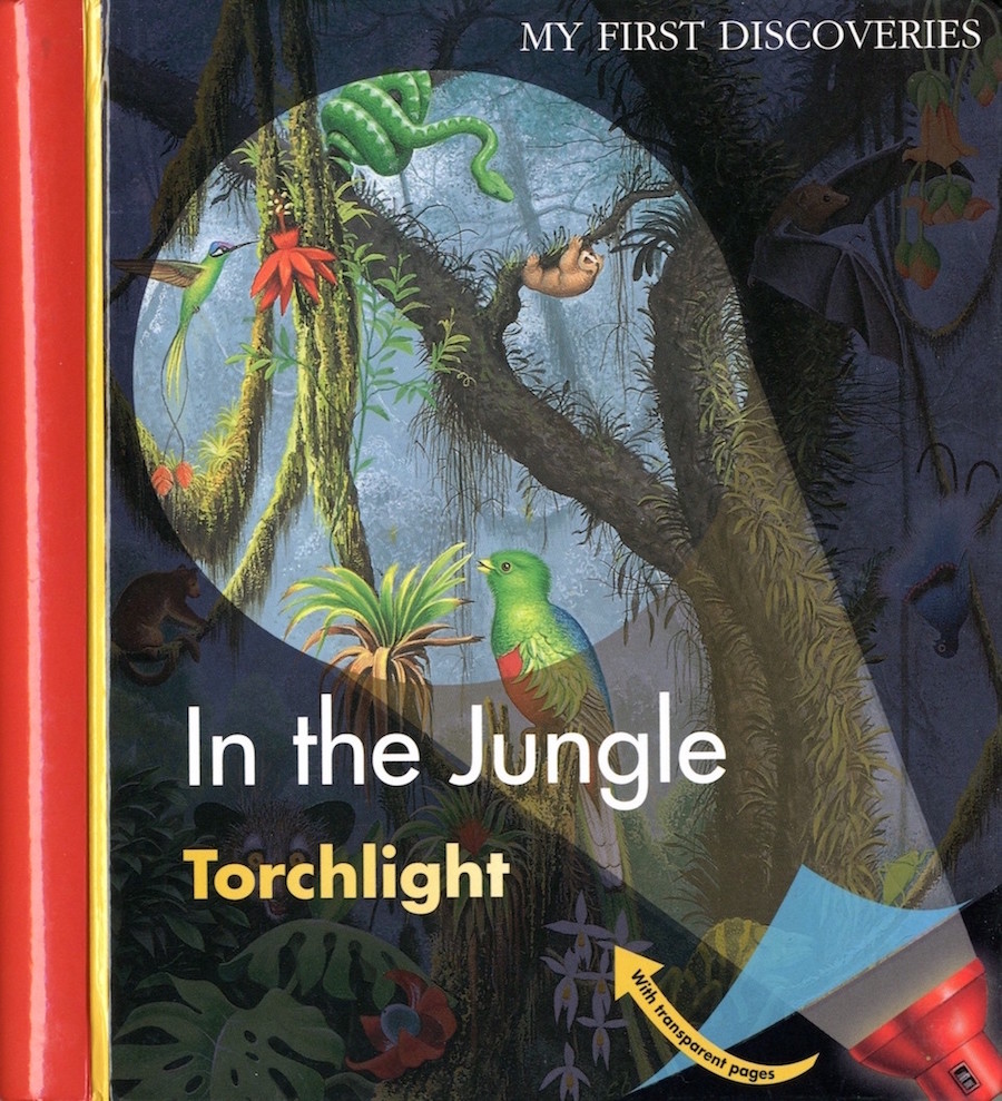 Children's book about the jungle - Moonlight Publishing
