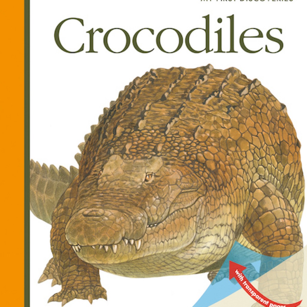 Crocodiles | Moonlight Publishing